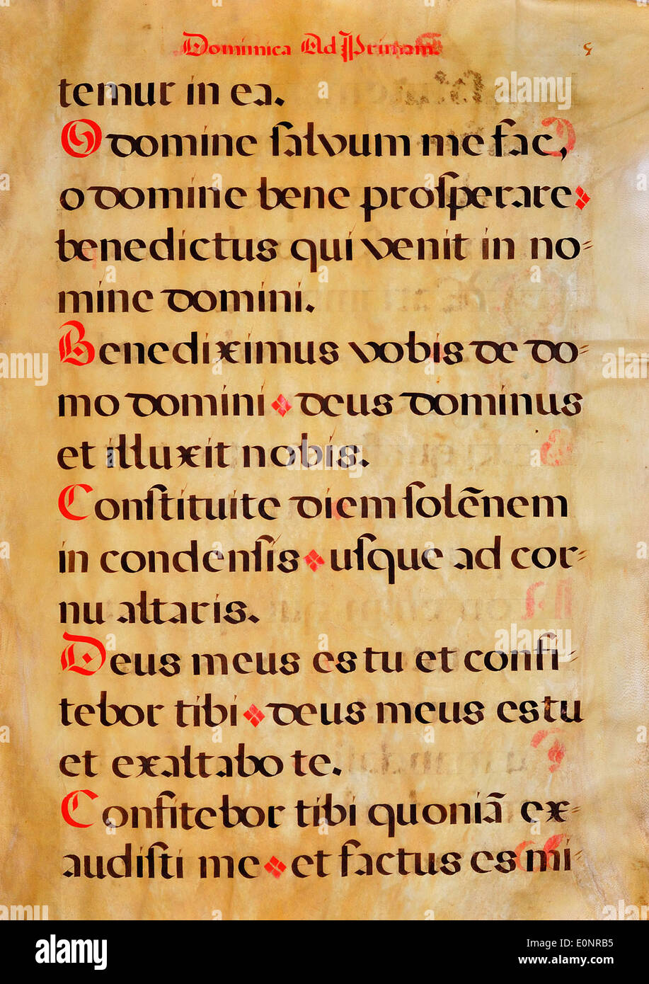 A historical page from a Spanish Chant Manuscript, featuring musical ...