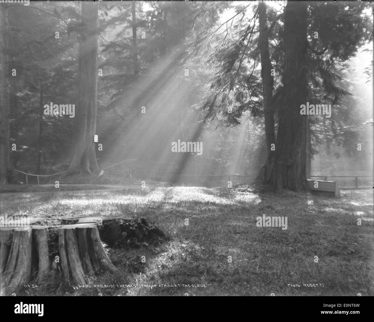 A scenic photograph capturing the natural beauty of Stanley Park in ...