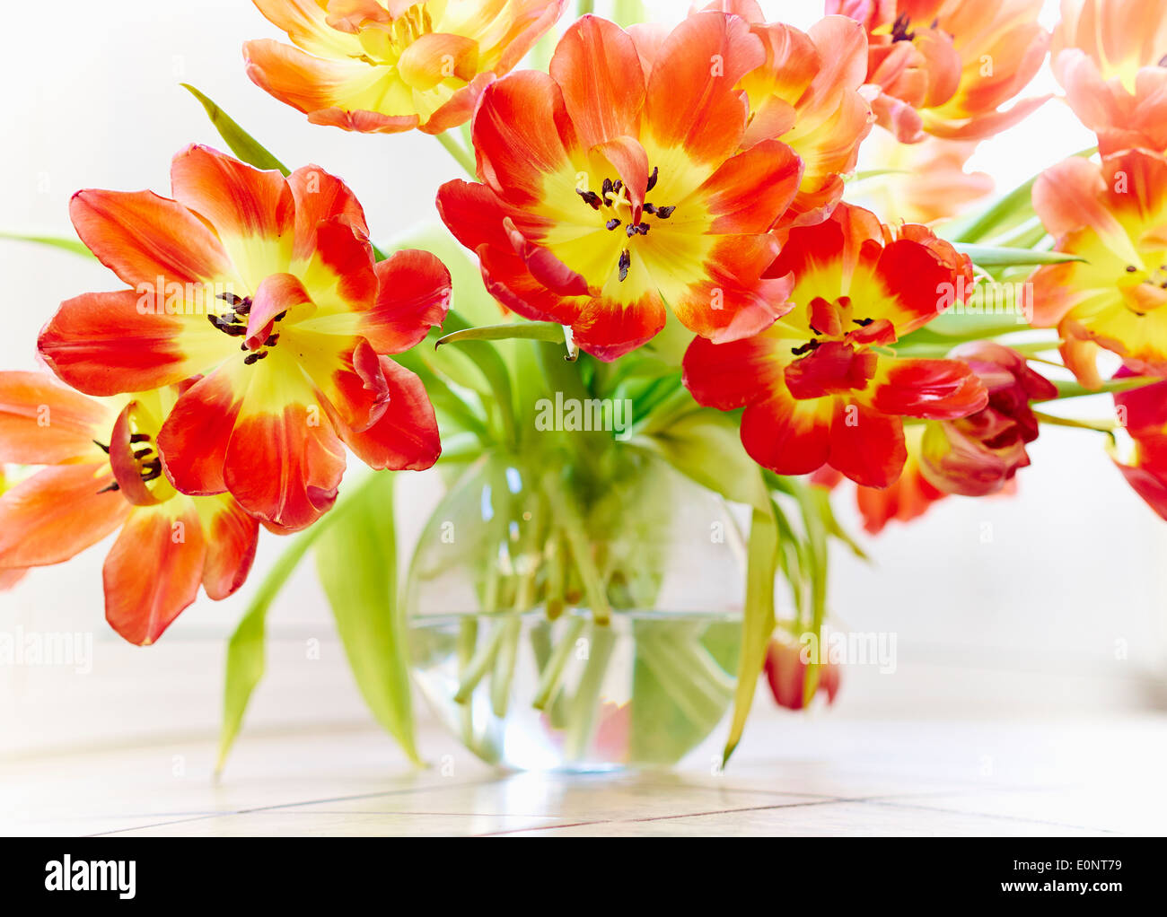 Dead flowers in vase hi-res stock photography and images - Alamy