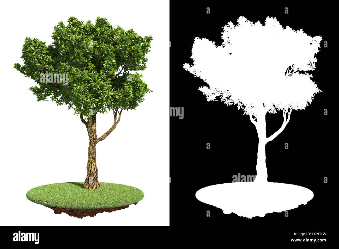 Park's Green Tree with Detail Raster Mask Stock Photo - Alamy