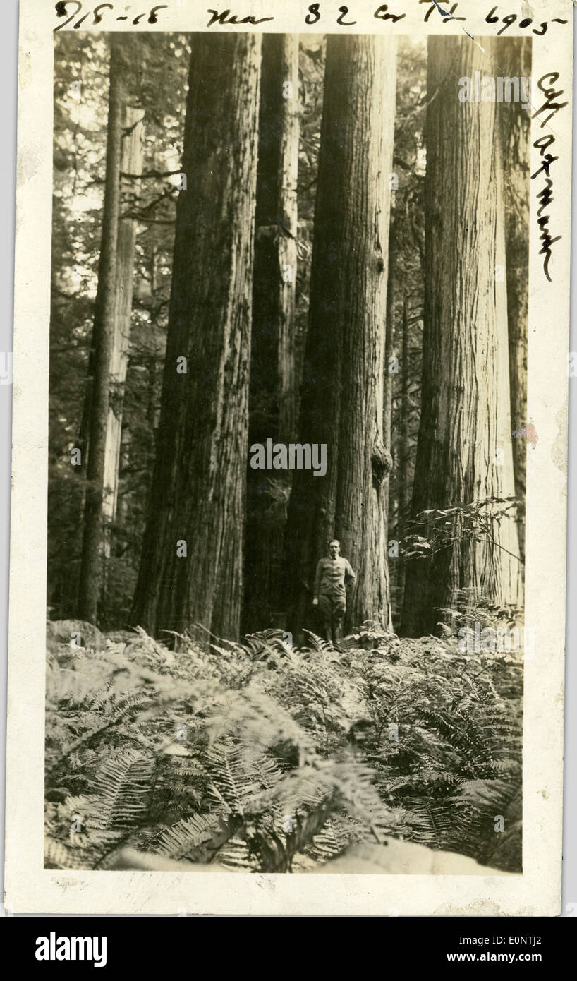 Old man standing next hi-res stock photography and images - Alamy