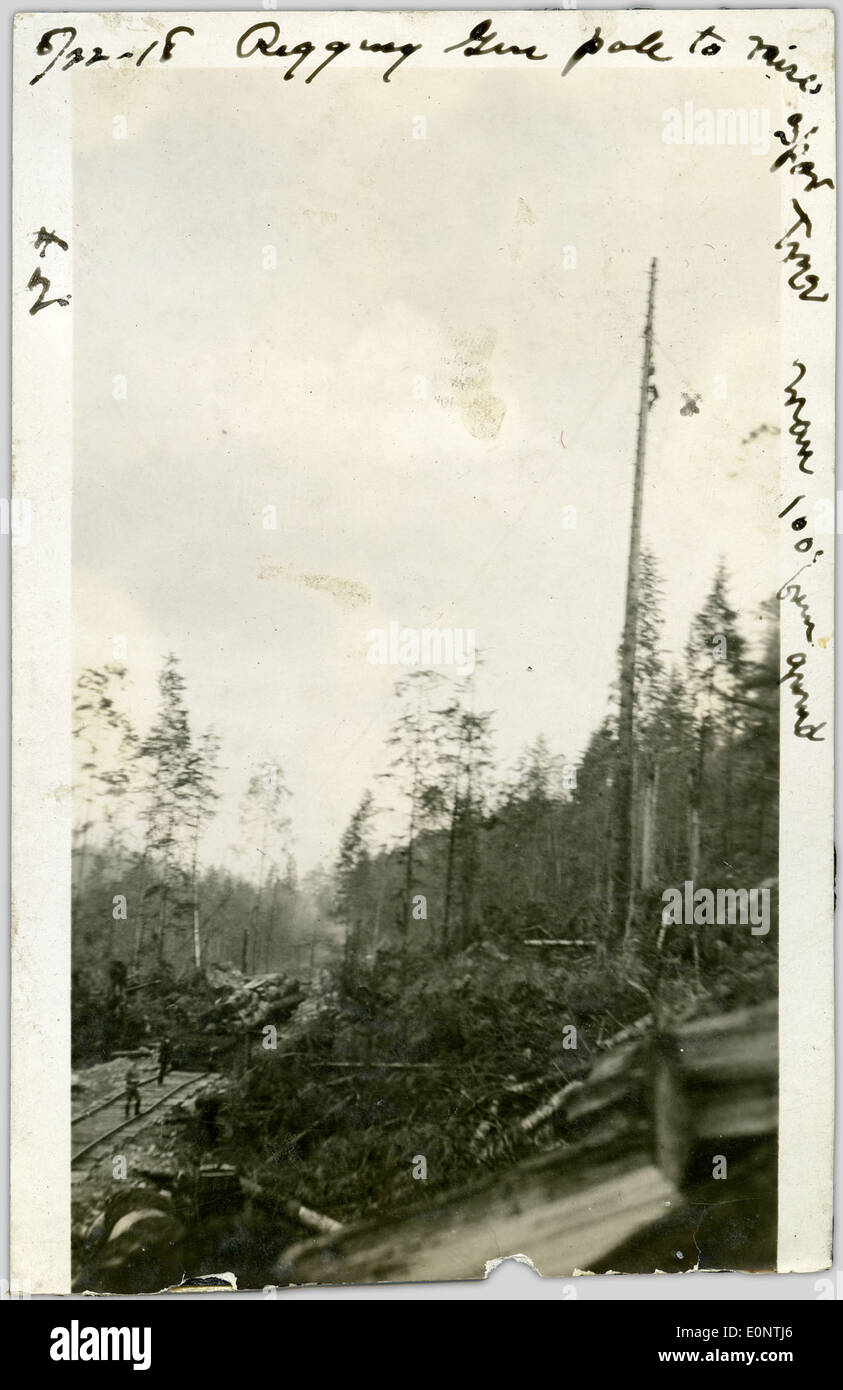 This image depicts the transition of a rigging pole to a spar tree ...