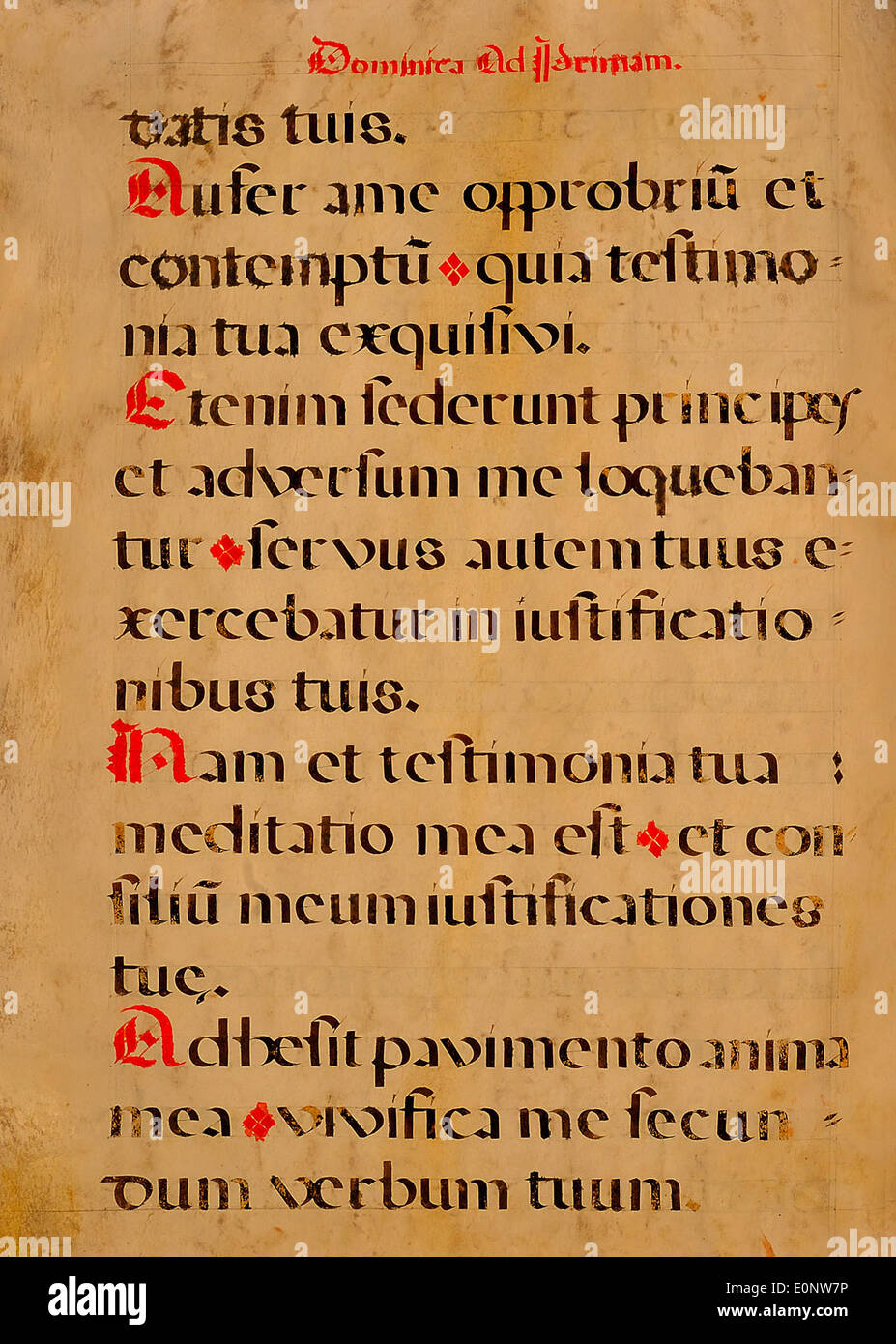 A page from a Spanish Chant manuscript, highlighting the rich tradition ...
