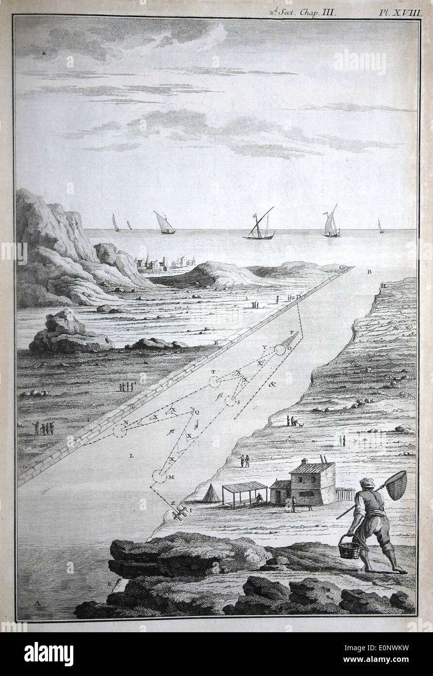 Diagram showing hi-res stock photography and images - Alamy