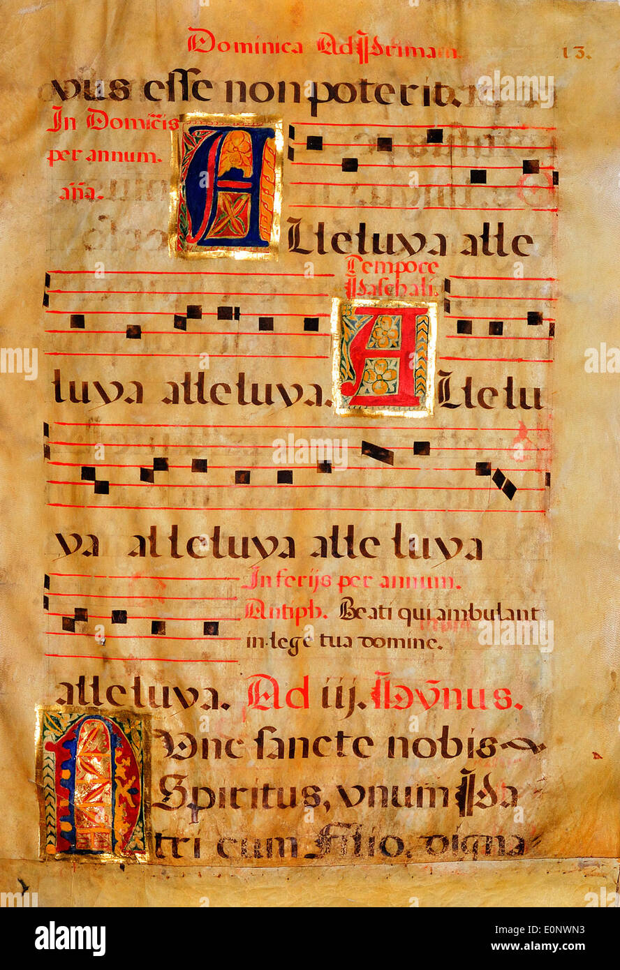 _032 hi-res stock photography and images - Alamy