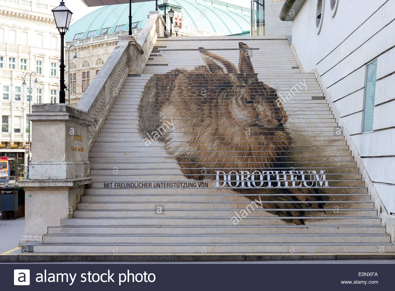 Durer Hare Stock Photos & Durer Hare Stock Images - Alamy