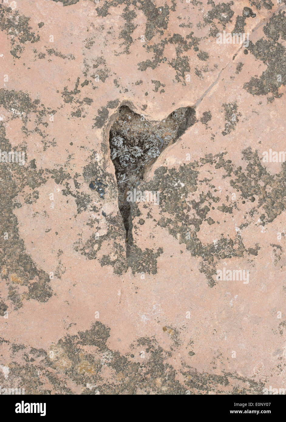 Natural heart shape eroded by salt water in red limestone. Cap Salines ...