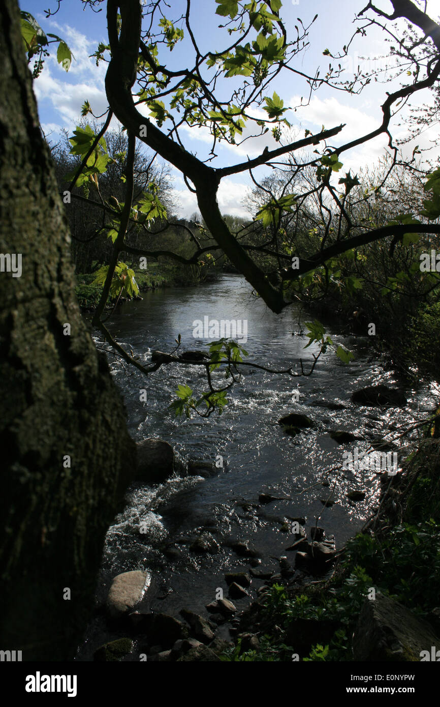 Sun on the river Tyne Stock Photo - Alamy