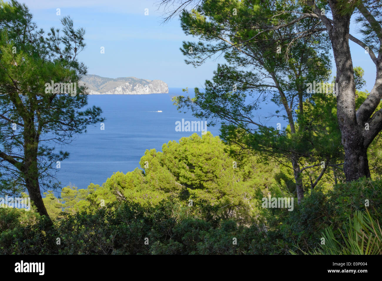 Animated forest hi-res stock photography and images - Alamy