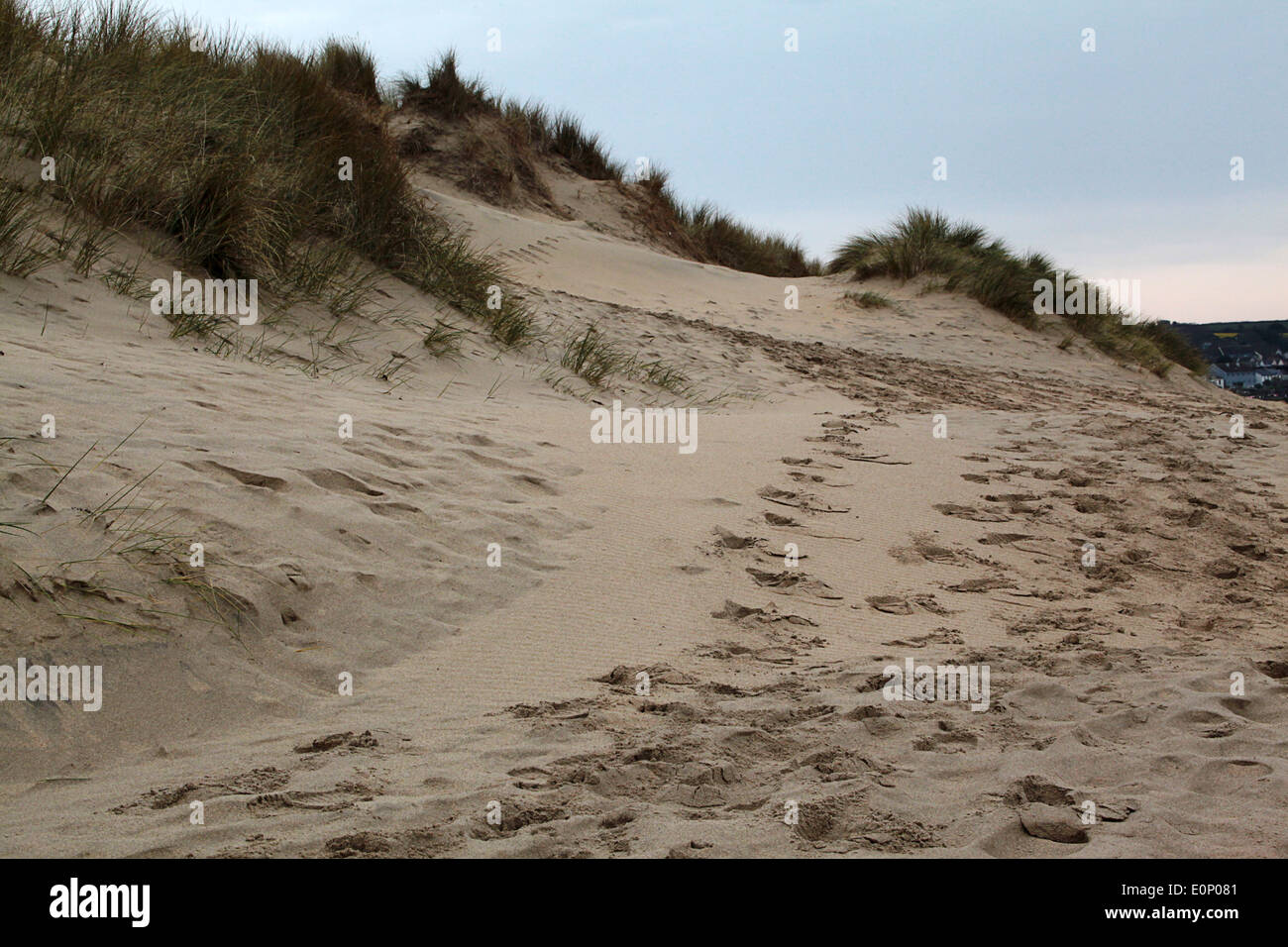 Well trodden path up sandy hillside, Hayle estuary Stock Photo - Alamy