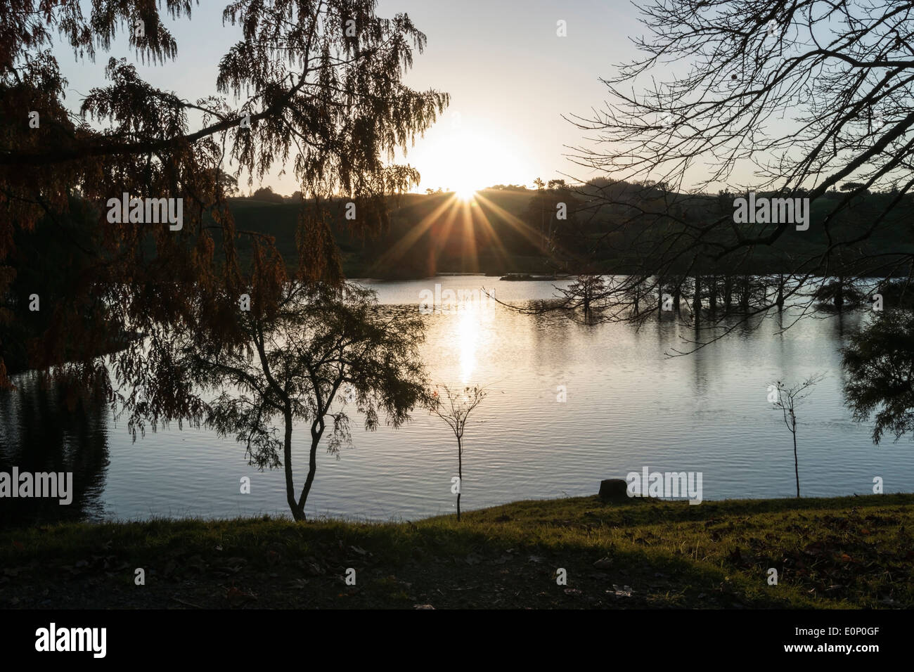 Sunburst across calm lake with trees in silhouette Stock Photo - Alamy