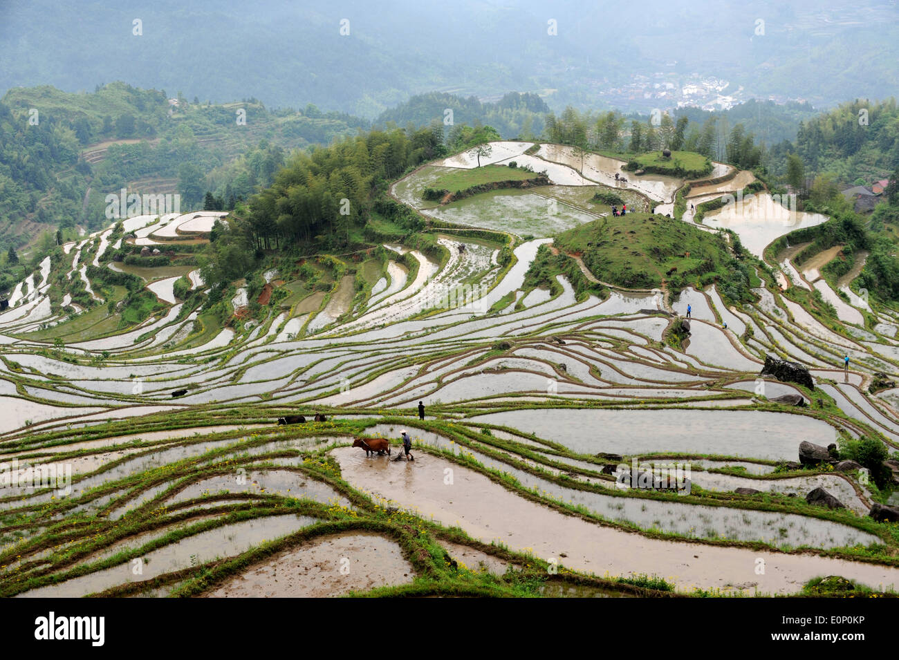 Yunhe county hi-res stock photography and images - Alamy