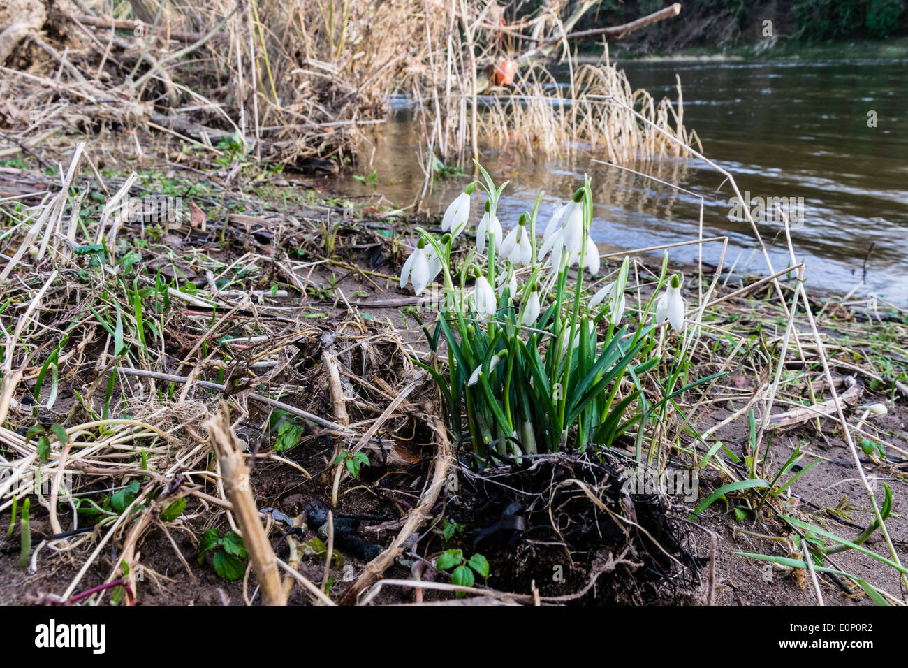 Below the waterline hi-res stock photography and images - Alamy