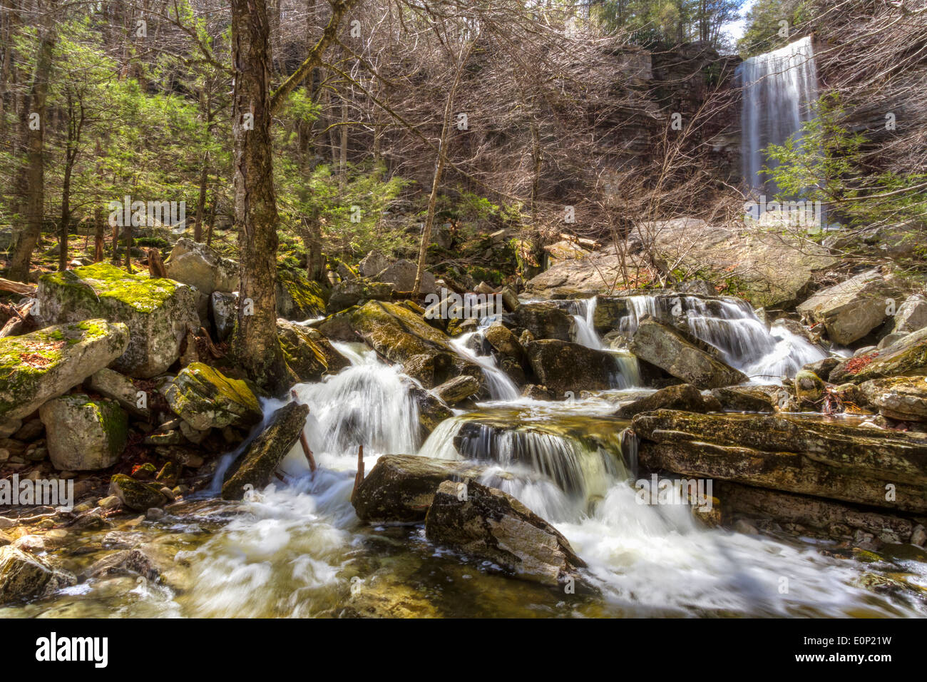 Green emerging from the forest around rushing Stony Kill Falls in ...