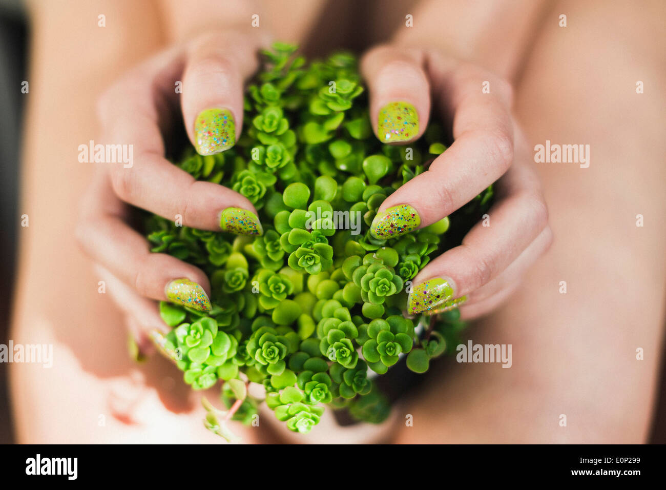 hands with green fingernails and lush green pot plant Stock Photo - Alamy