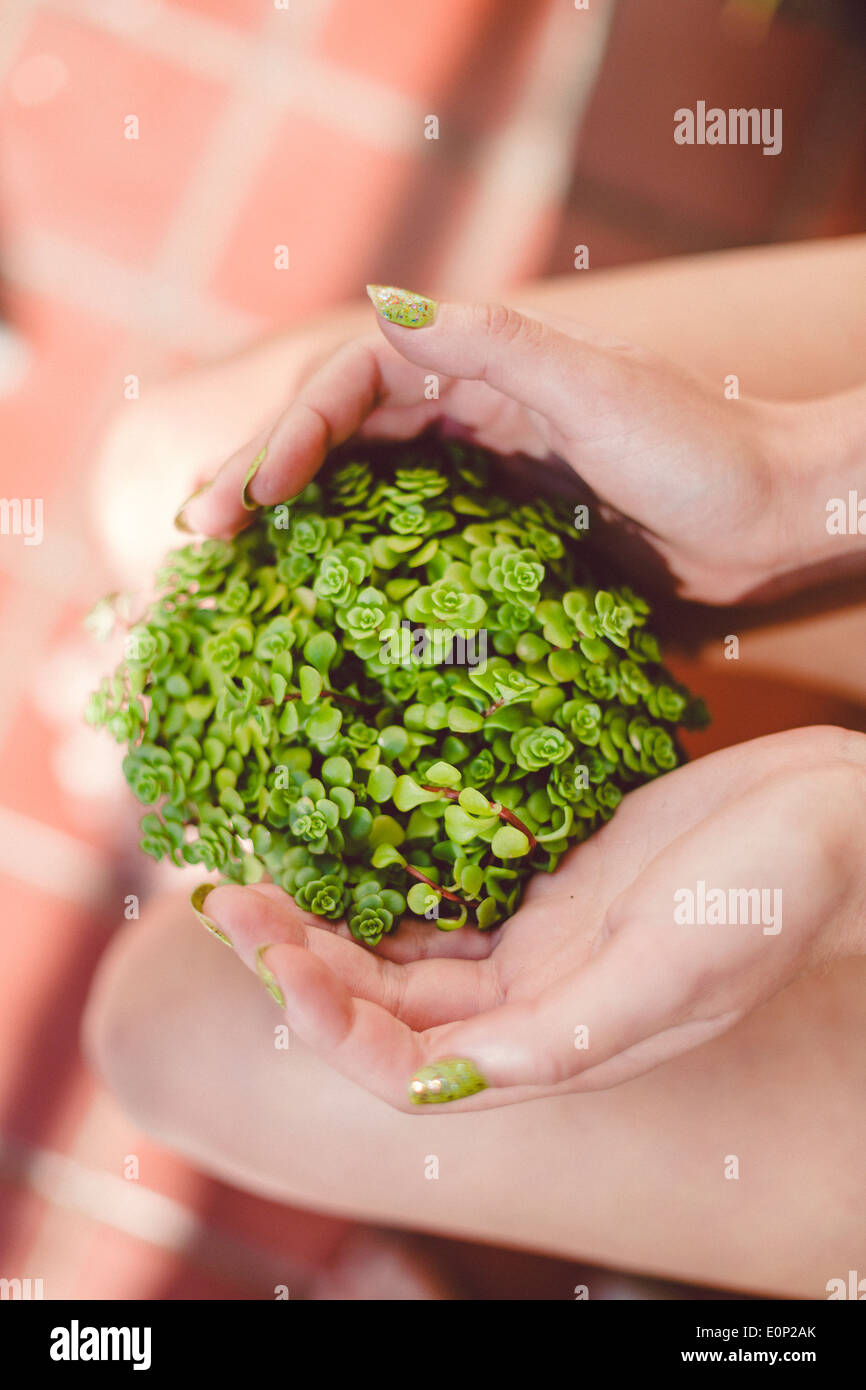 Hands holding legs hi-res stock photography and images - Alamy
