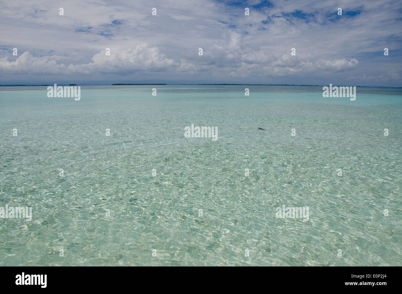 Belize, Caribbean Sea, District of Toledo, The Cayes. West Snake Caye ...