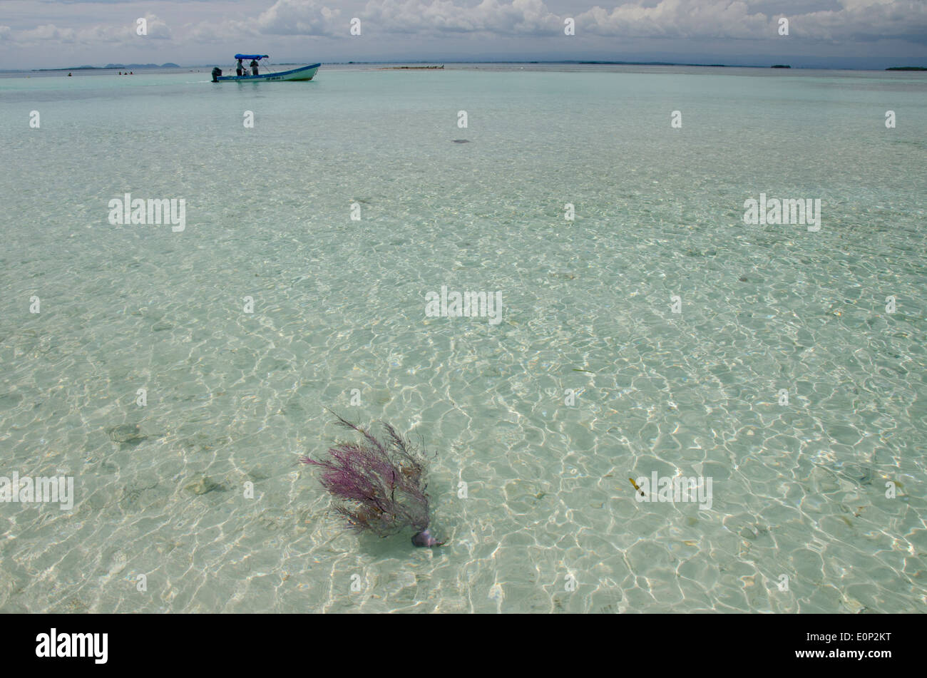 Belize, Caribbean Sea, District of Toledo, The Cayes. West Snake Caye ...