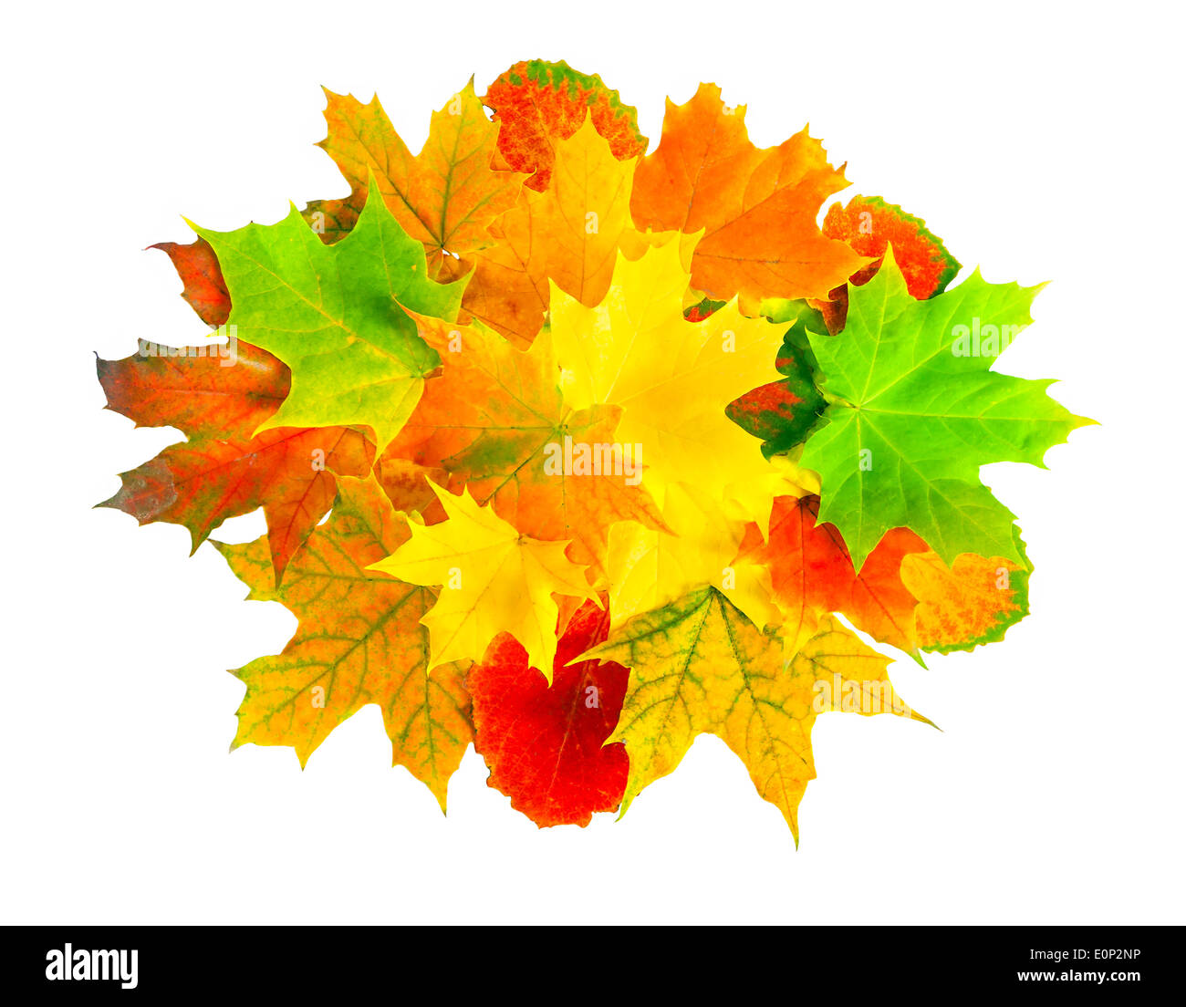 Bunch fall leaves isolated on hi-res stock photography and images - Alamy