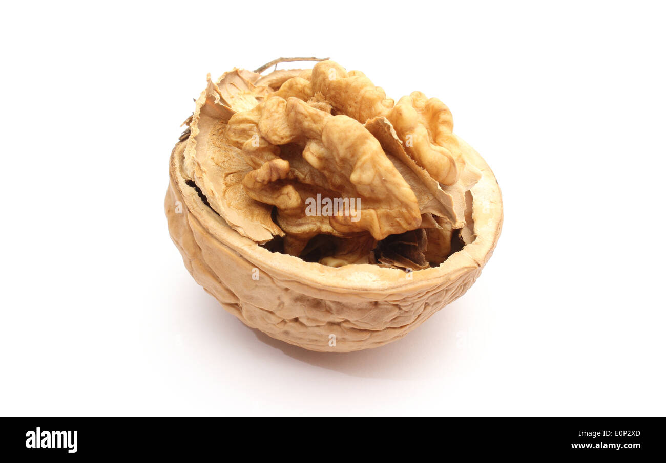 Closeup of opened brown fresh walnut. Isolated on white background ...