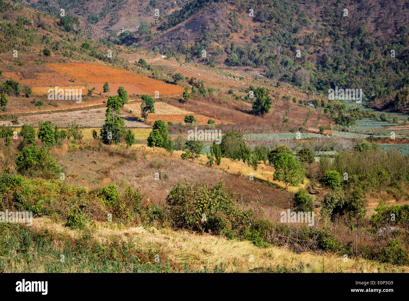 Kalaw High Resolution Stock Photography and Images - Alamy