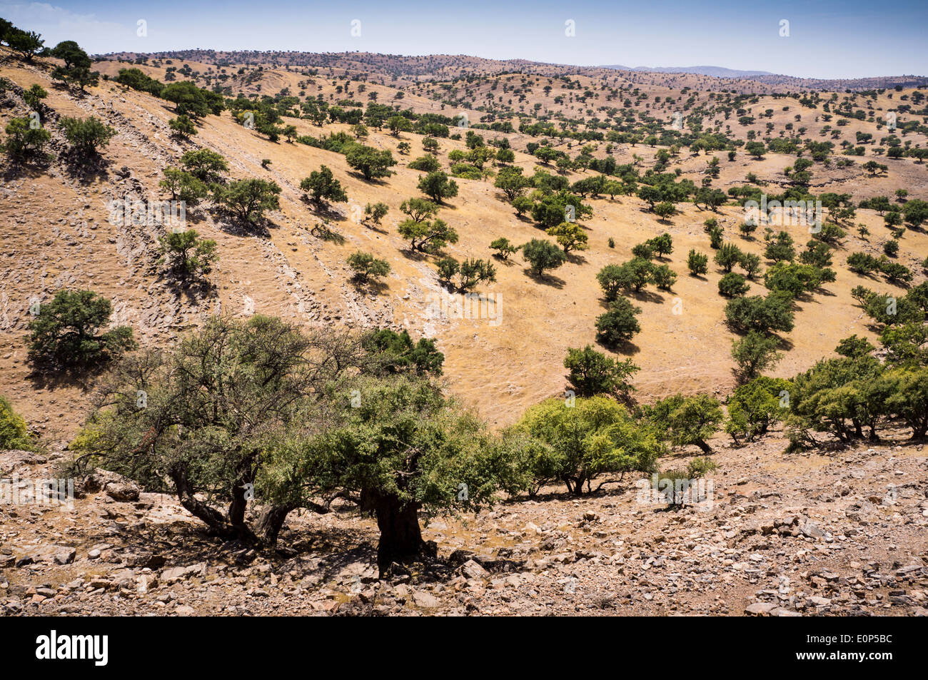 Oued zat valley hi-res stock photography and images - Alamy