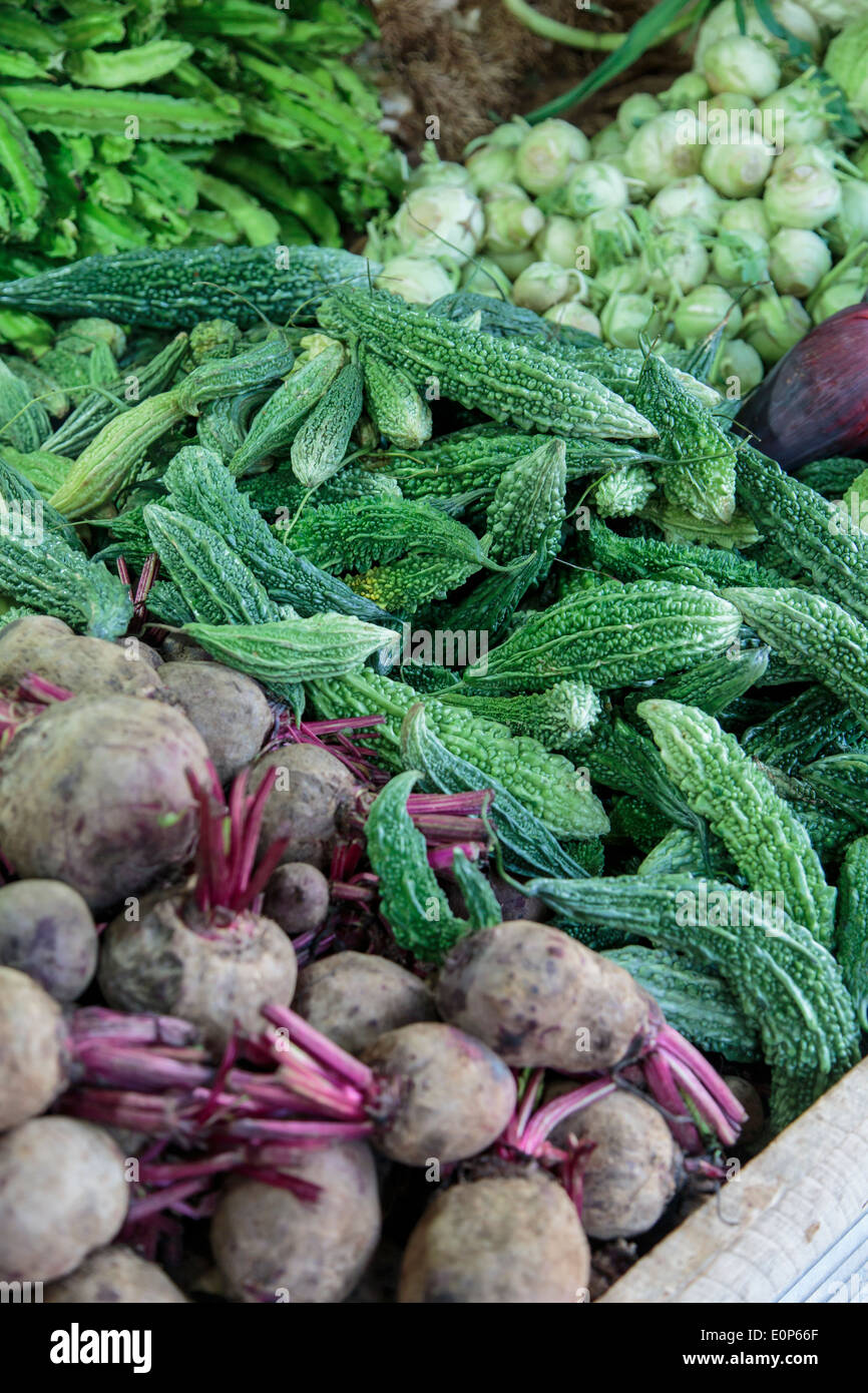 Knol khol hi-res stock photography and images - Alamy