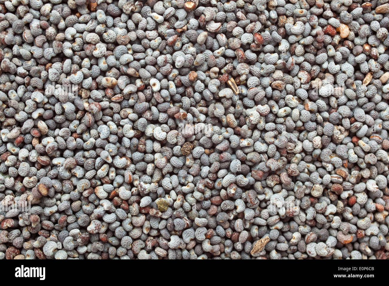 Poppy seeds texture hi-res stock photography and images - Alamy