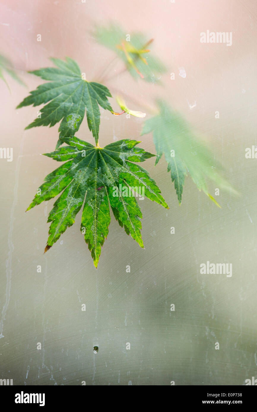 Sophie cave hi-res stock photography and images - Alamy