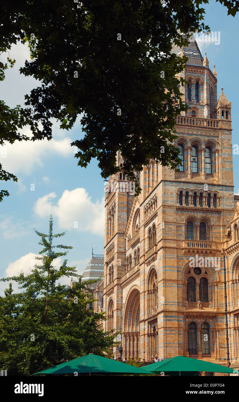 A side view of the Natural History museum framed by trees Stock Photo ...