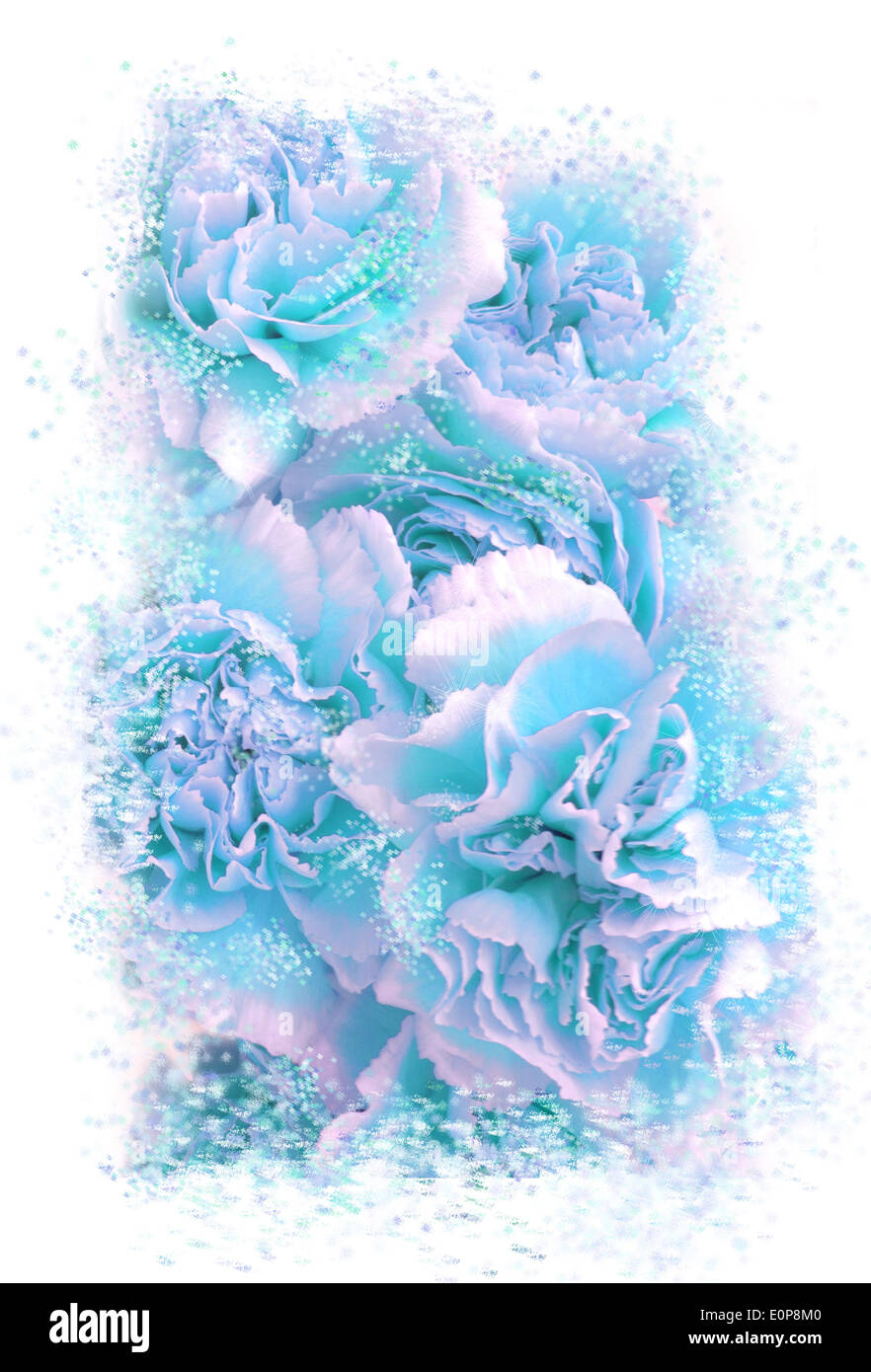 Lavender backdrop Cut Out Stock Images & Pictures - Alamy