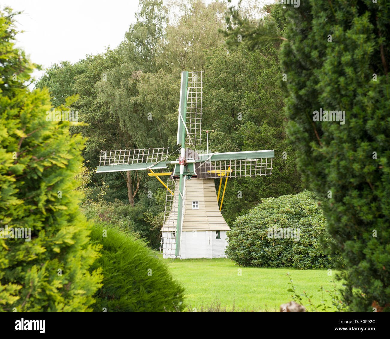 Traditional Dutch wooden windmill in forest scenery Stock Photo - Alamy