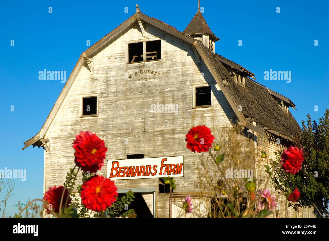 Bernards Farm barn, Yamhill County, Oregon Stock Photo - Alamy