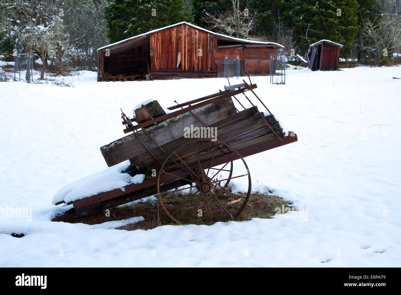 Golden cart hi-res stock photography and images - Alamy