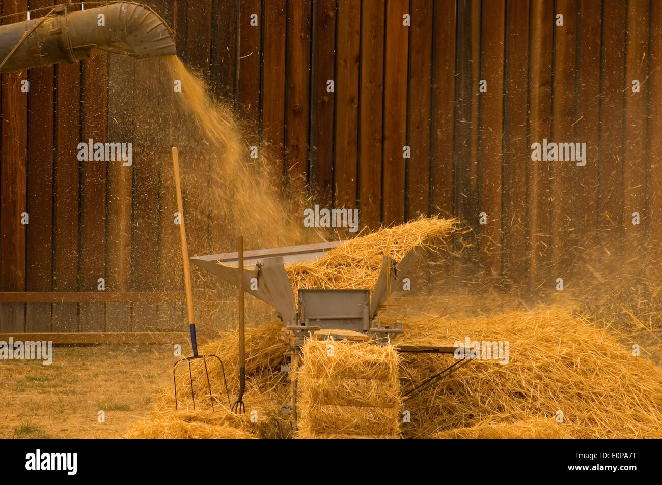 Grain threshing demonstration, Historic Hanley Farm, Jackson County ...