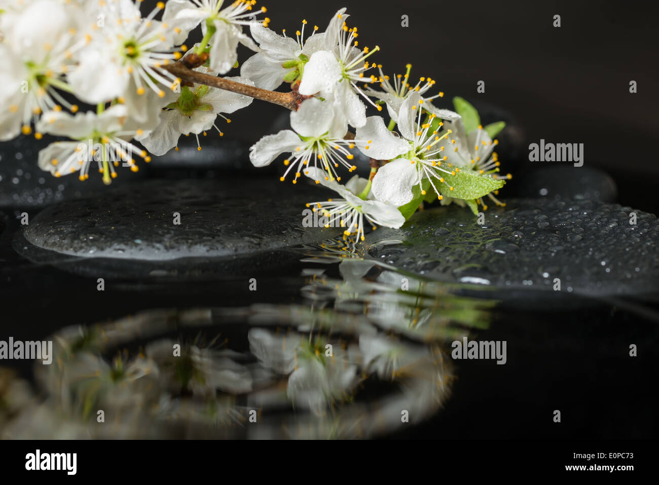 Beautiful spa setting blooming hi-res stock photography and images - Alamy