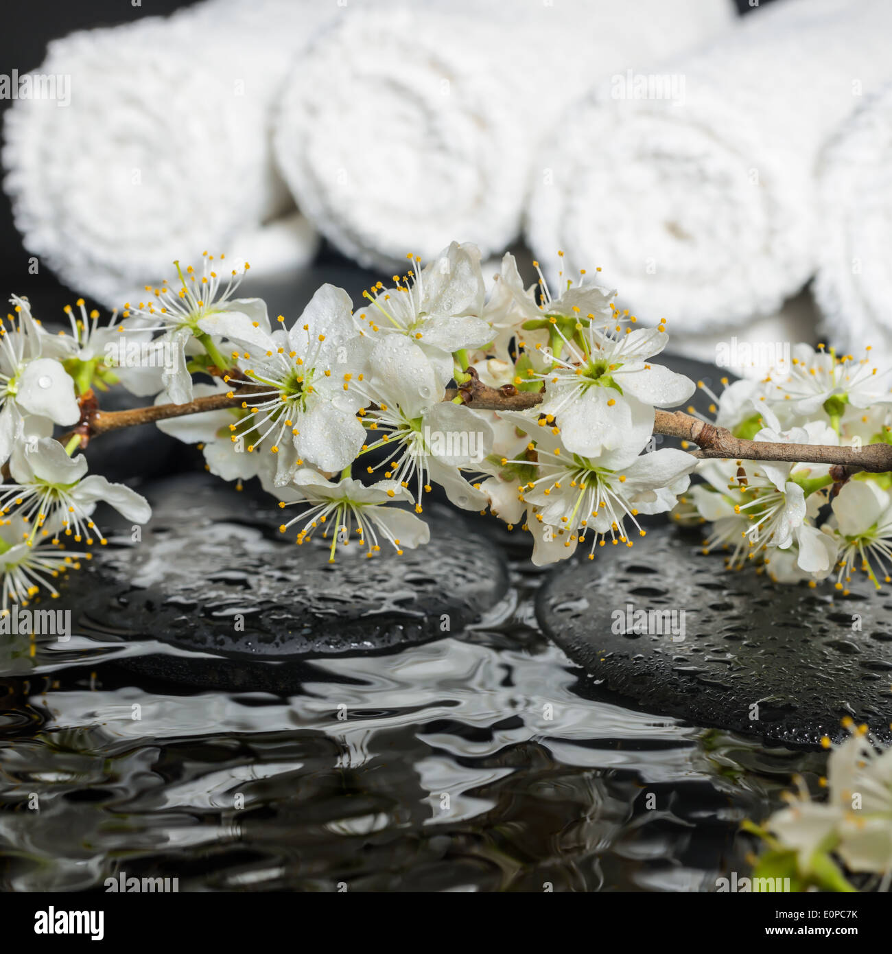 Zen spring resort hi-res stock photography and images - Alamy