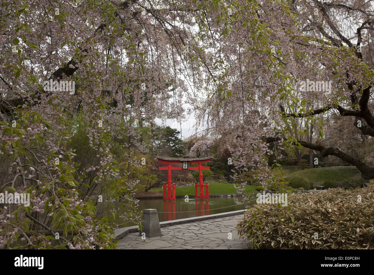Torii (Gateway) in the Japanese Garden pond at the Brooklyn Botanic ...