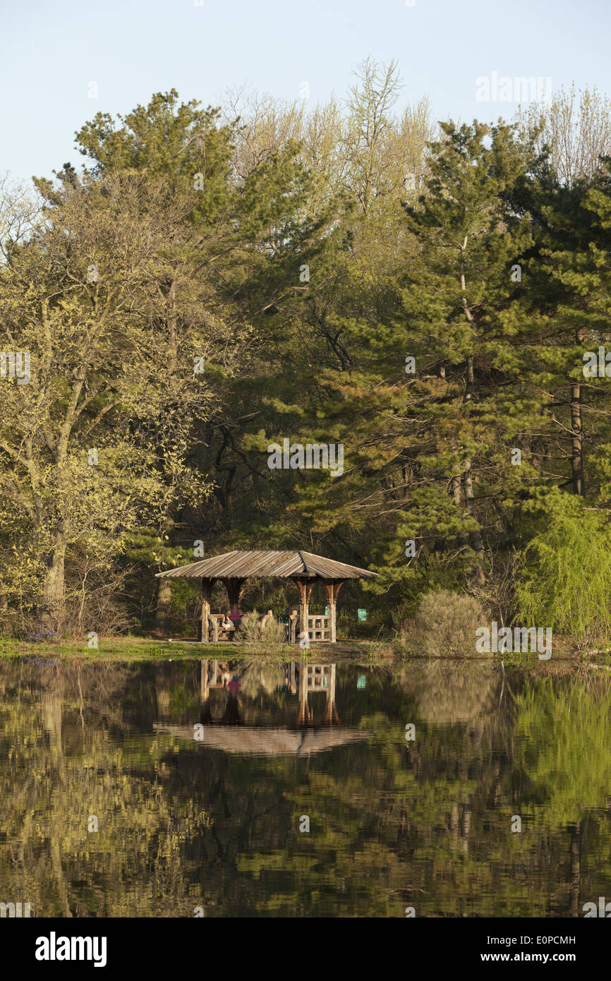 Spring in Prospect Park, Brooklyn, New York Stock Photo - Alamy