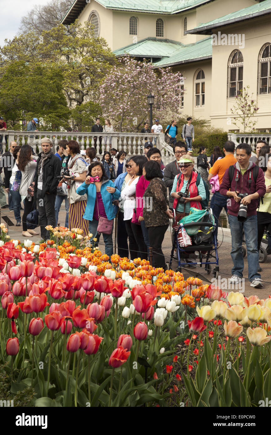 People enjoy the beautiful spring colors at the Brooklyn Botanic Garden ...