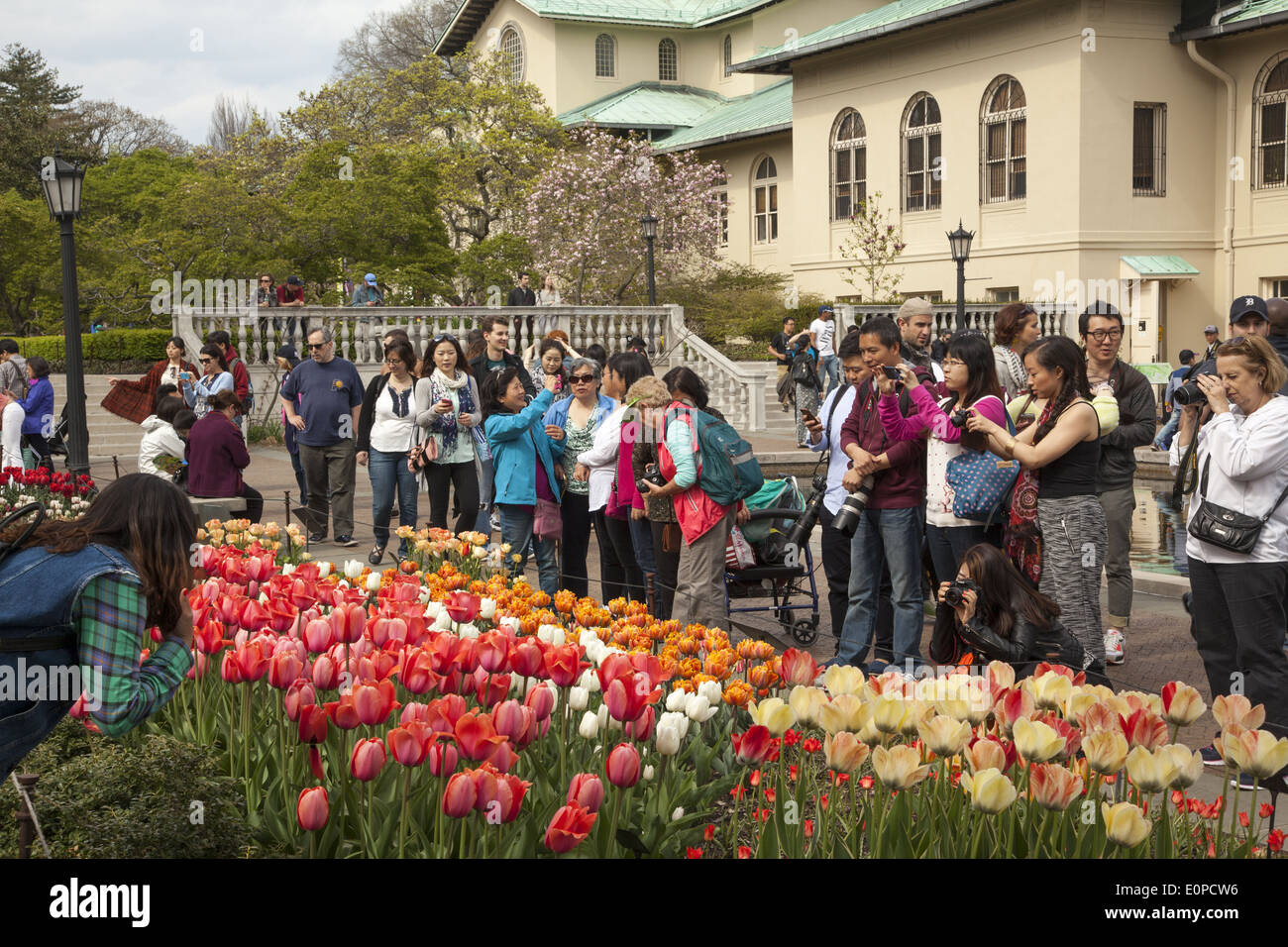 People enjoy the beautiful spring colors at the Brooklyn Botanic Garden ...