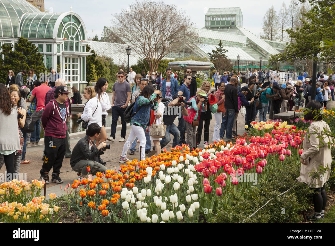 People enjoy the beautiful spring colors at the Brooklyn Botanic Garden ...
