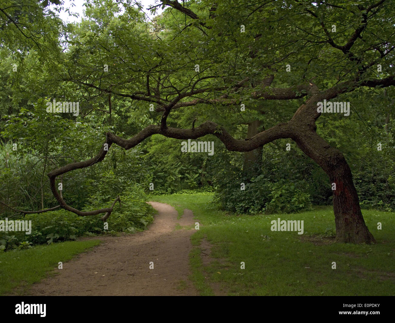 Prospect park parks brooklyn new york city hi-res stock photography and ...