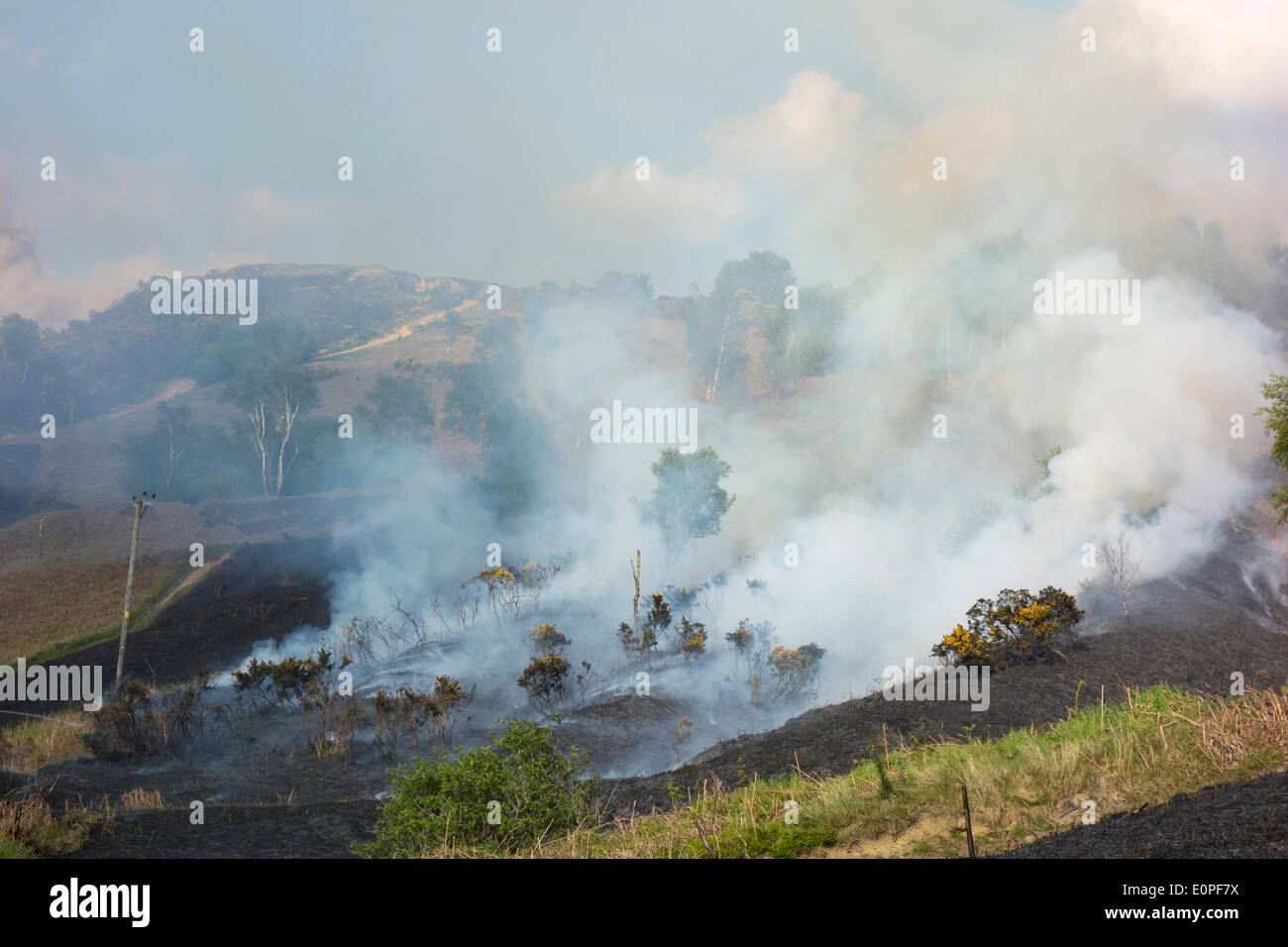 Wildfire and tackling blaze hi-res stock photography and images - Alamy