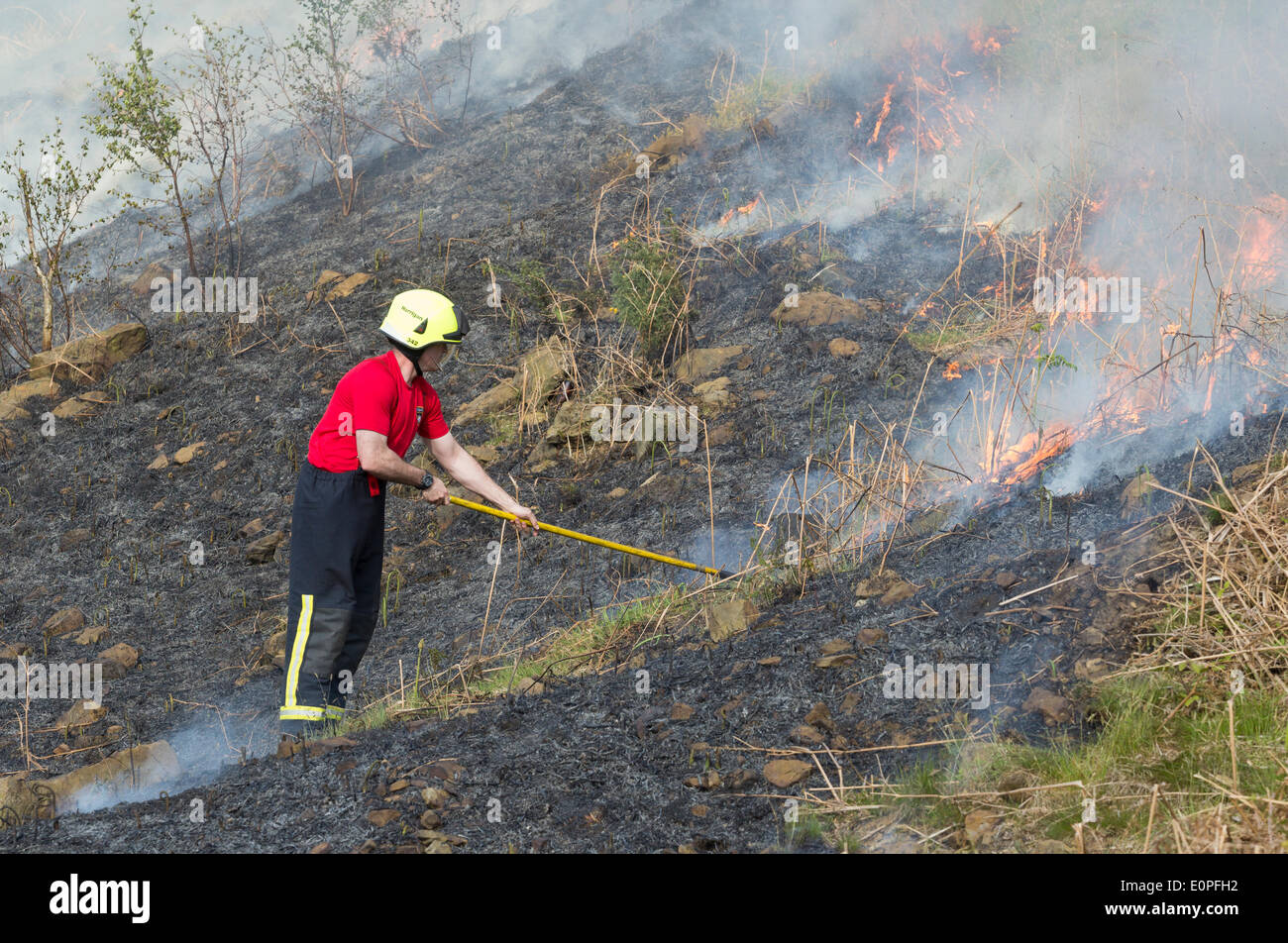 Wildfire and tackling blaze hi-res stock photography and images - Alamy