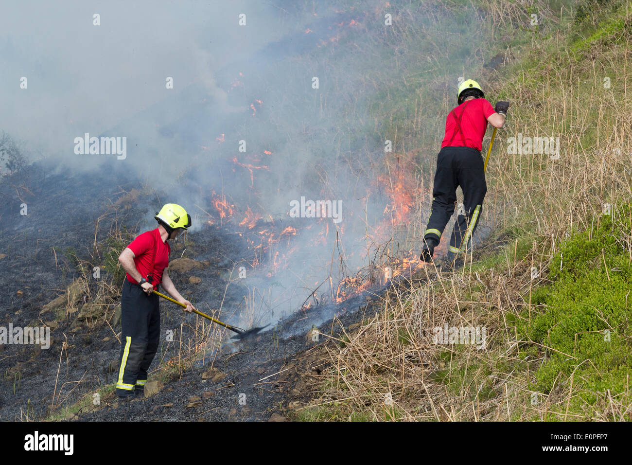 Wildfire and tackling blaze hi-res stock photography and images - Alamy