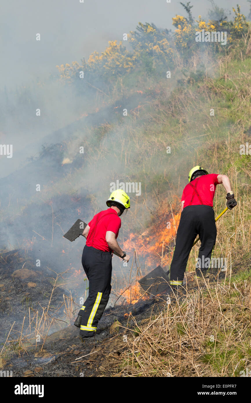 Firefighters tackling summer fire on Eston Hills near Middlesbrough. UK ...