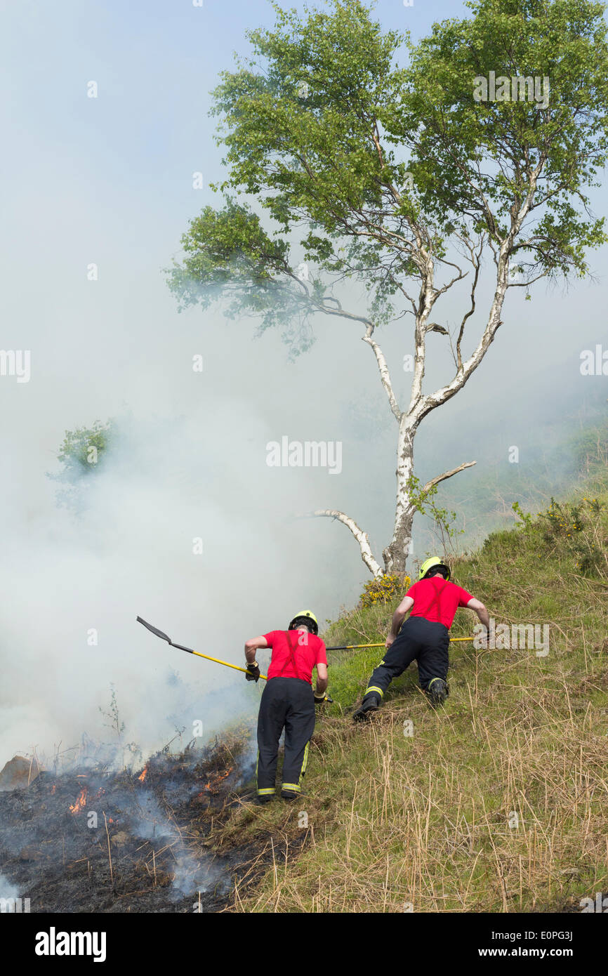 Wildfire and tackling blaze hi-res stock photography and images - Alamy