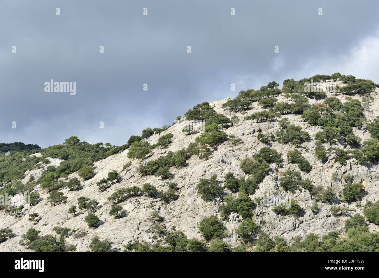 Tramontana majorca mountains hi-res stock photography and images - Alamy