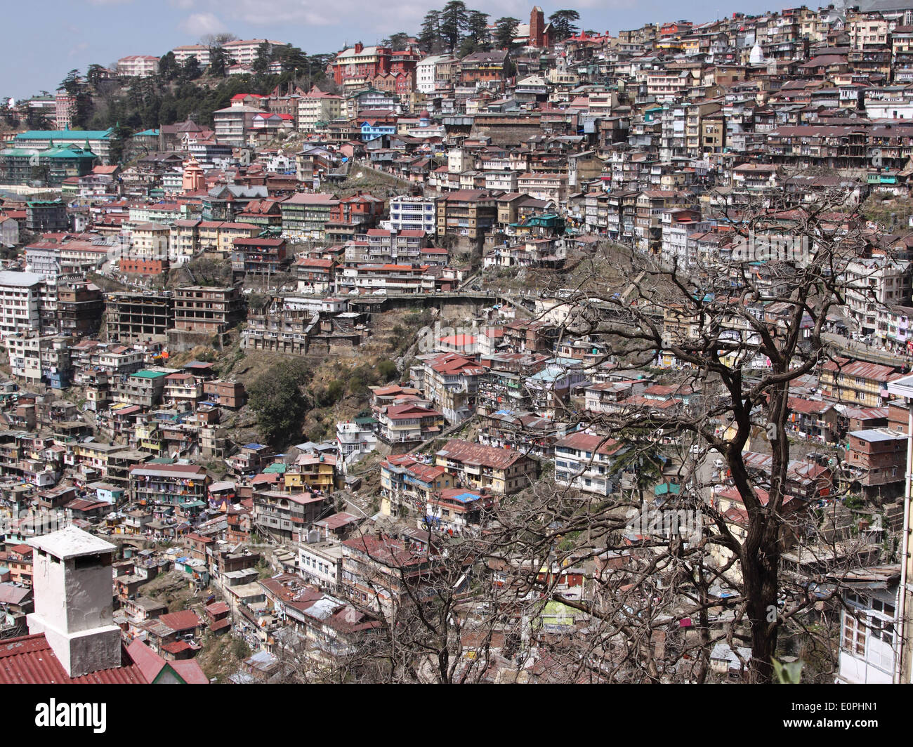 One of the densely populated Shimla hillsides in the state of Himachal ...